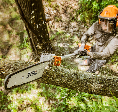 1, 2, Tree – Tree Clean Up Made Easy